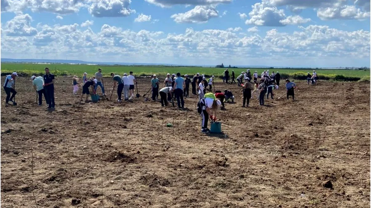Satul din România unde oamenii și-au plantat pădure: ‘Era o zonă ...