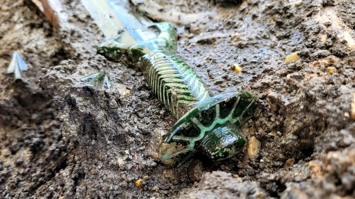 O sabie veche de 3.000 de ani, descoperită recent de arheologi: de ce ...