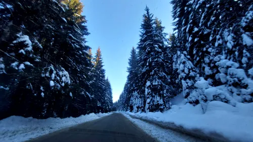 Transbucegi, poate cel mai frumos drum din țară: câteva motive să ...