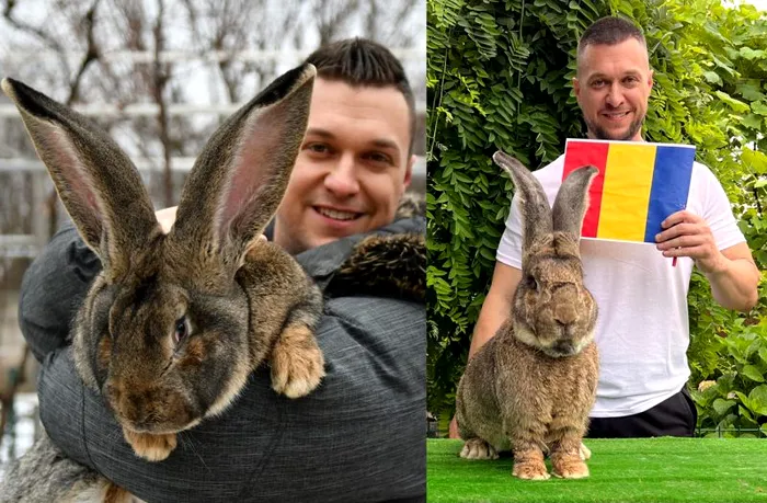 Afacerea lui Lucian îi face pe americani să bată 8.000 de km ca să-i cumpere marfa pe bani buni ...